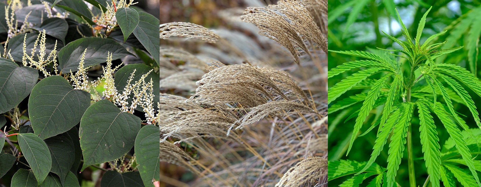 Groen Bouwen: 100% Biologische vezelplaten als slim alternatief voor ...